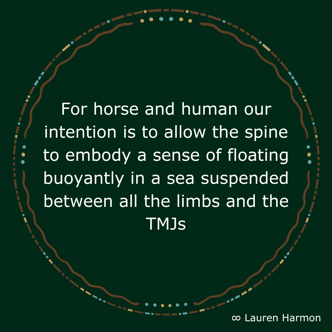 Floating Spine – Instill Harmony – Somatic embodiment for horse and humans!