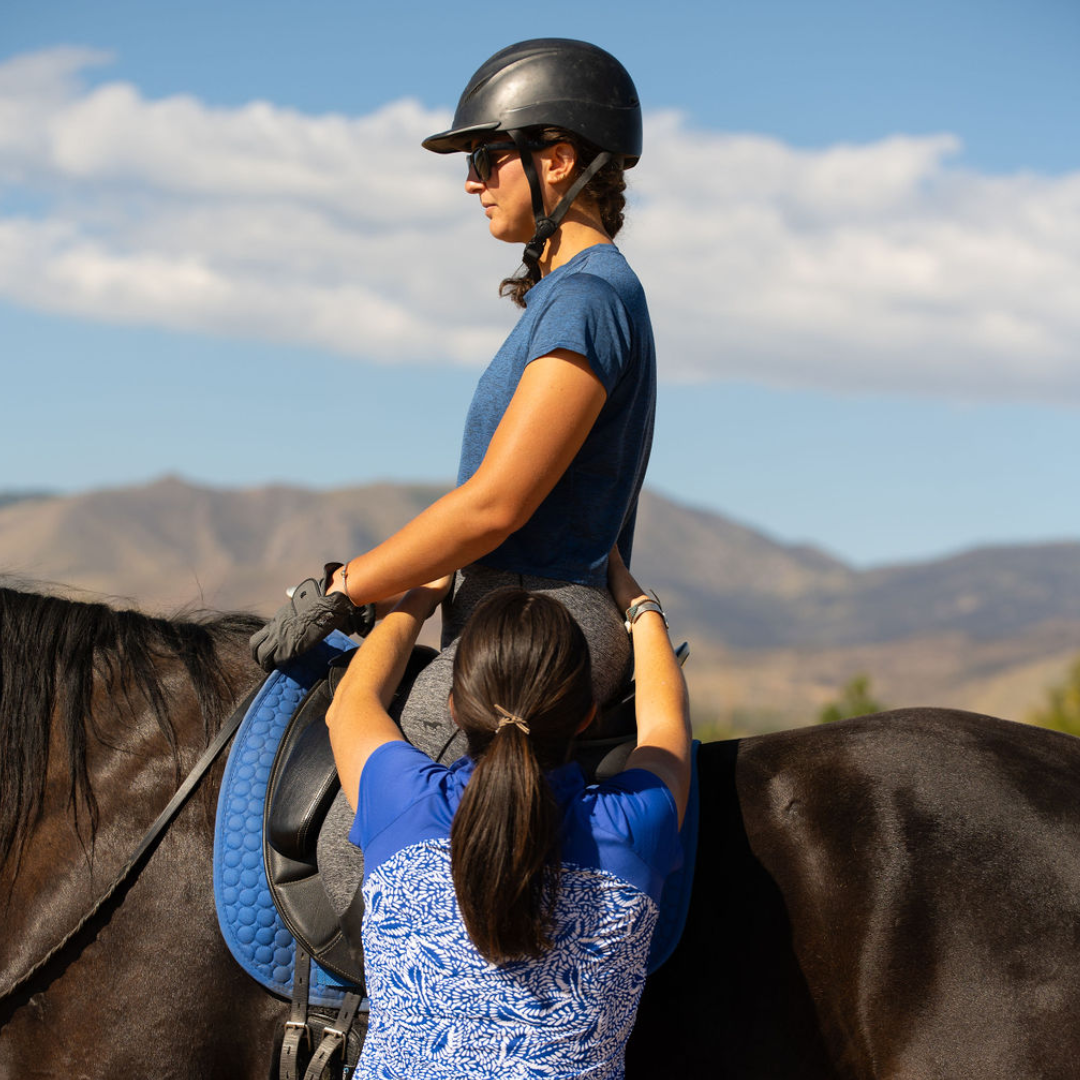 Instill Harmony – Somatic embodiment for horse and humans – Horse ...